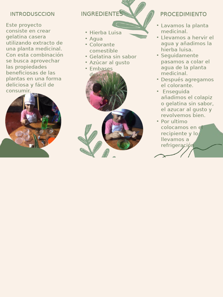 Triptico de Lucas | PDF