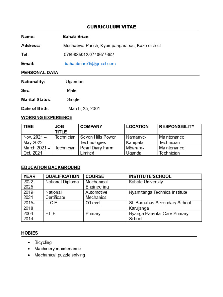 Curriculum Vitae | PDF