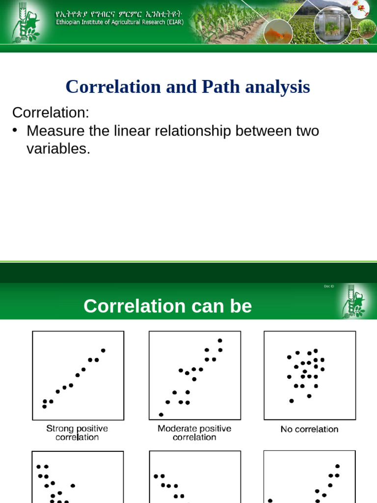 Correlation and Path Analysis | PDF | Statistical Theory | Statistical ...