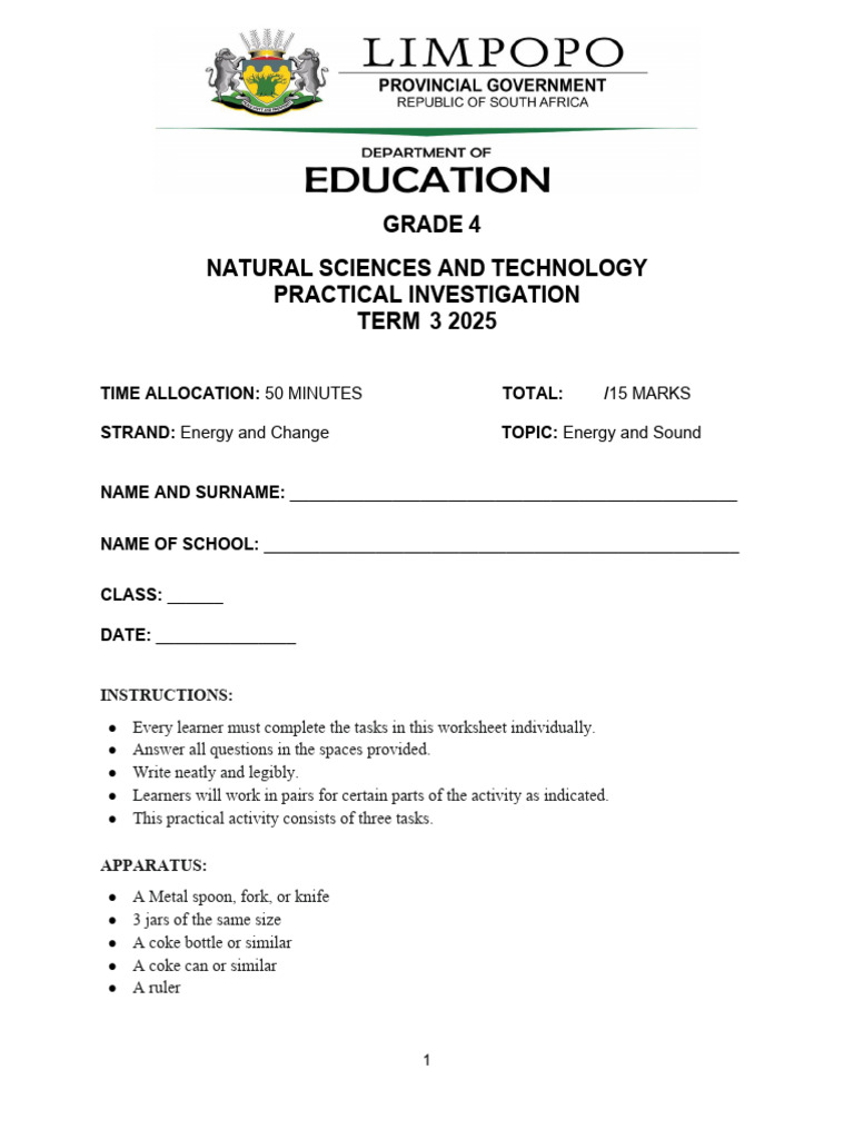 Ruler Vibration Investigation for Grade 4 | PDF