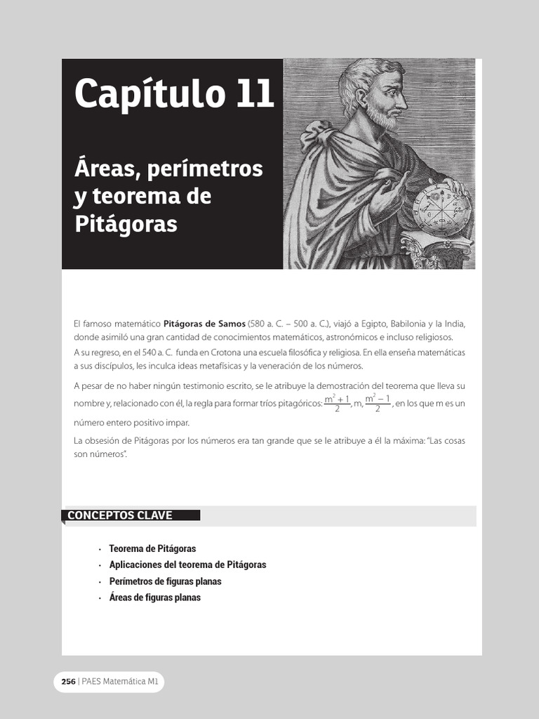 Perímetros y áreas en geometría básica | PDF | Triángulo | Pitágoras
