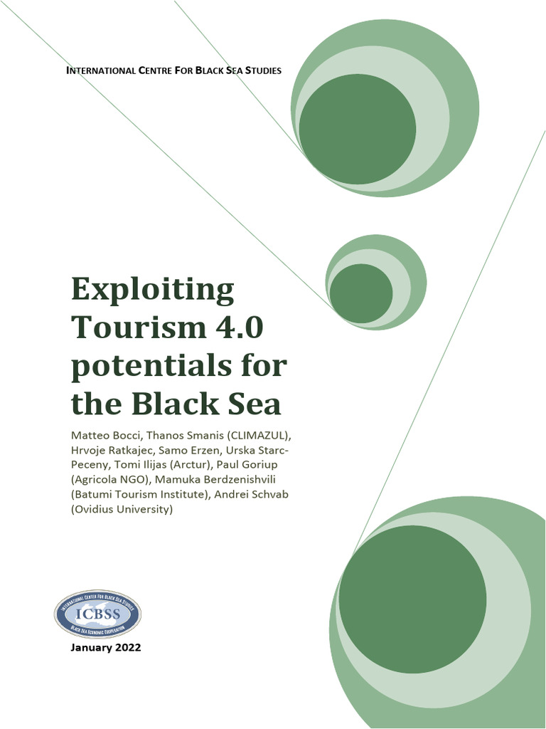 Tourism 4.0 Strategies for Black Sea | PDF | Sustainability | Tourism
