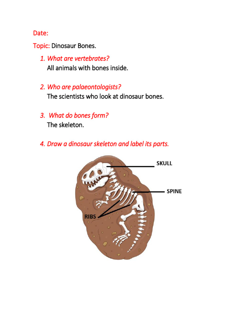 Unit 1 Bones | PDF