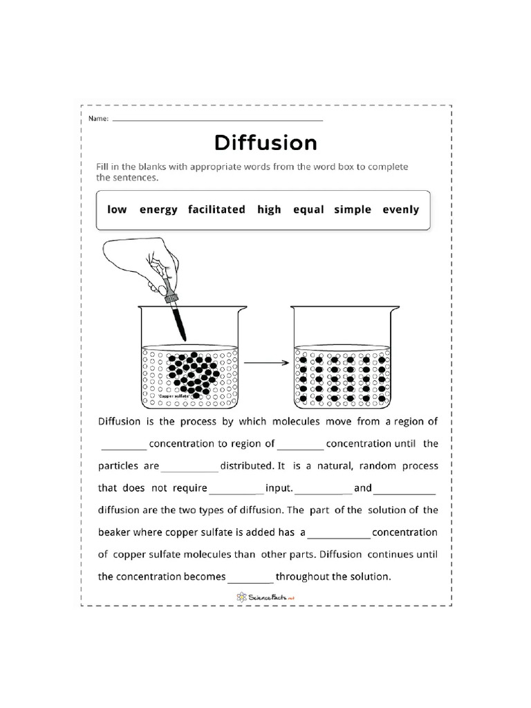Diffusion Worksheet | PDF