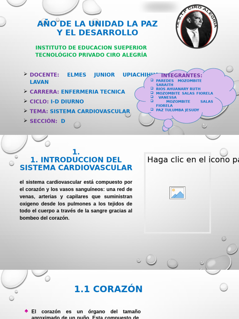 Presentacion de Trabajo Anatomia Funcional | PDF | Corazón | Sistema ...