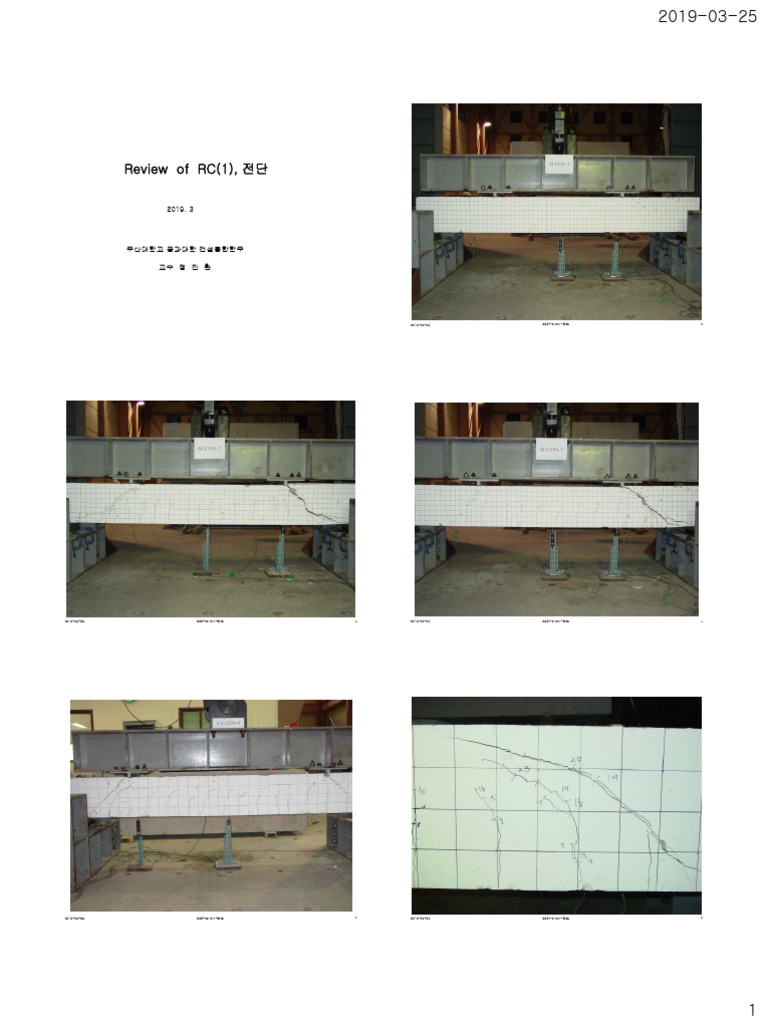 RC1 Review 전단 | PDF