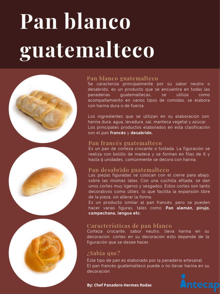 Infografía de Pan Blanco | PDF