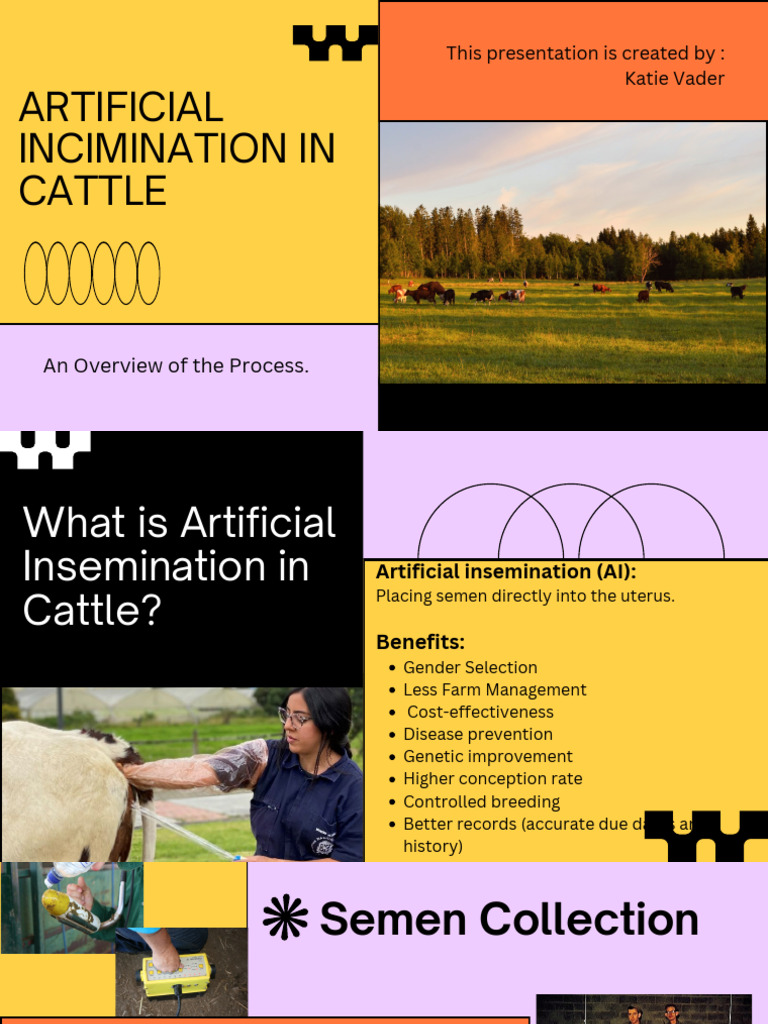 Overview of Cattle AI Process | PDF