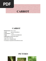 Carrot | PDF