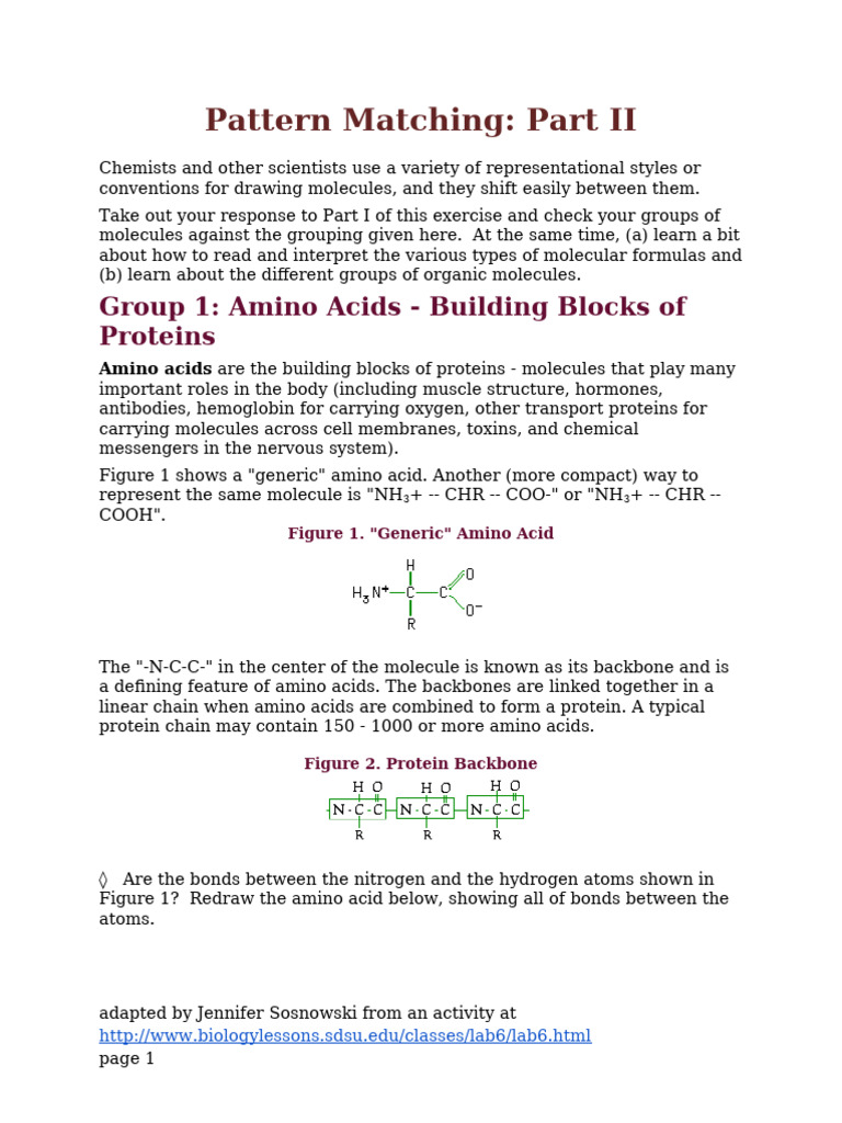 Understanding Organic Molecule Groups | PDF | Nucleotides | Fatty Acid