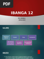 Iindidi zeZimelabizo kwiSizathu | PDF