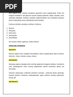Types of Amabizo in Zulu Language | PDF