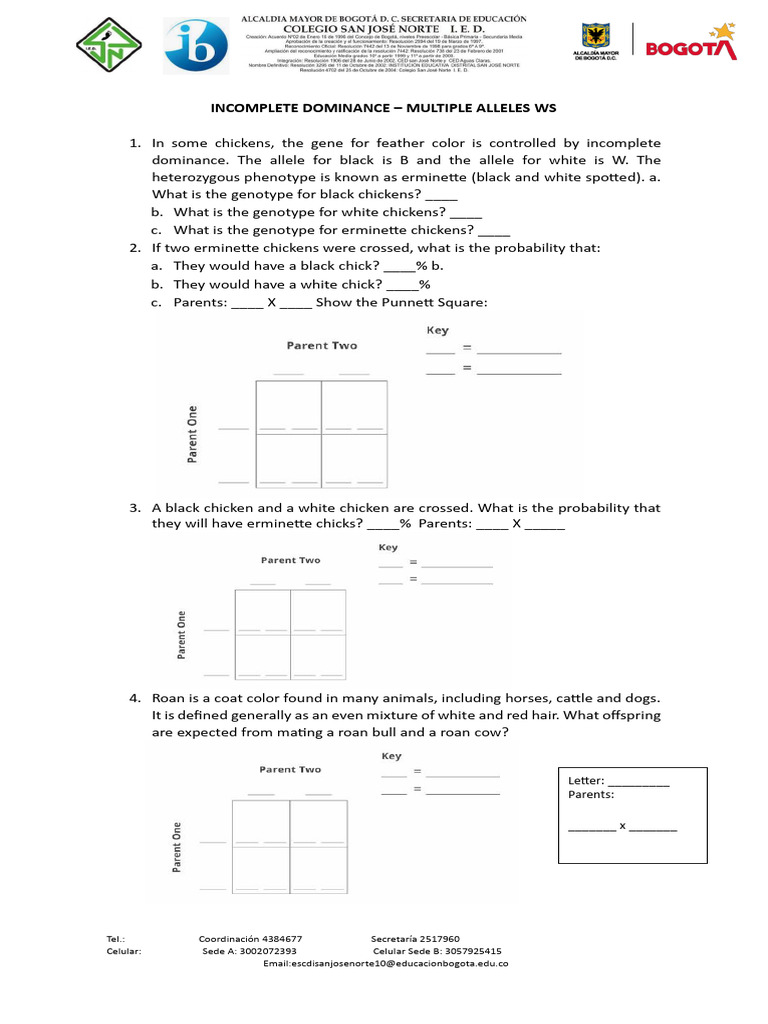 Incomplete Dominance Genetics Worksheet | PDF | Dominance (Genetics ...