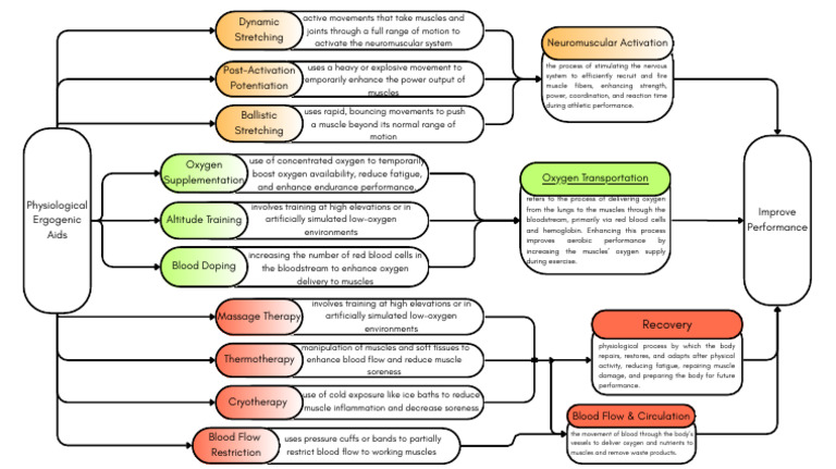 Physiological Ergogenic Aids | PDF | Blood | Skeletal Muscle
