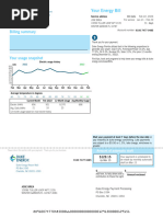 Duke Energy Bill Overview and Payment Guide | PDF