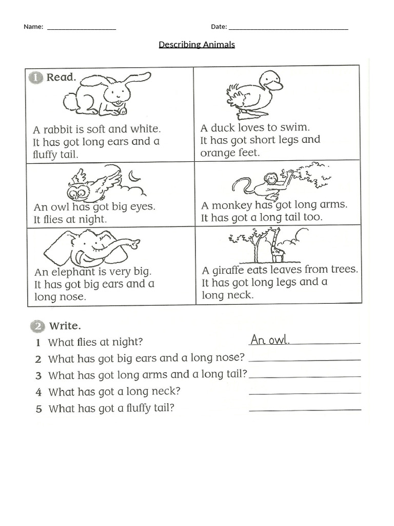 Animals Fun Activities Games Reading Comprehension Exercis - 2271 | PDF