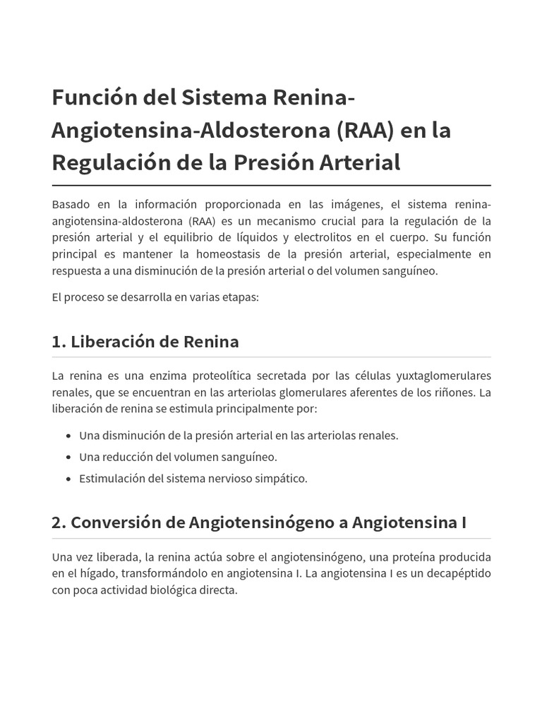 Sistema RAA | PDF | Angiotensina | Sistema endocrino