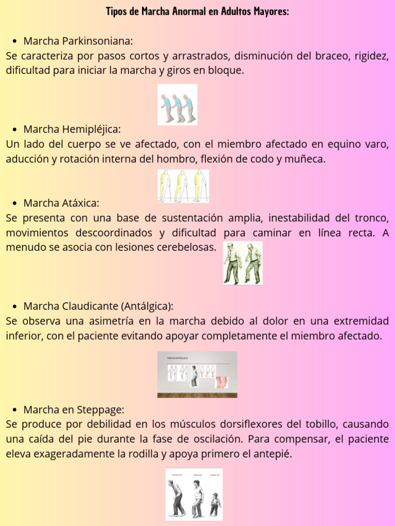 Tipos De Marcha Anormal En Mayores Pdf