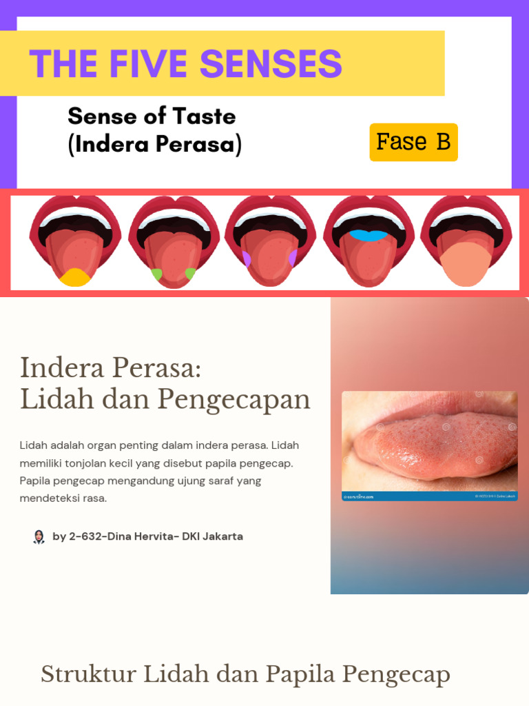 Struktur dan Fungsi Indera Perasa Lidah | PDF