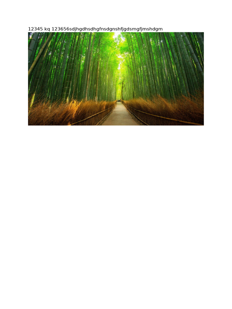 File 1 | PDF