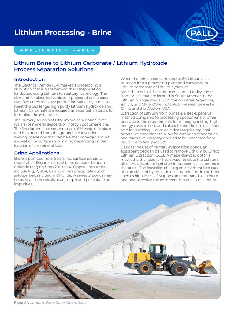 Pall Lithium Processing Brine | PDF | Lithium | Ion Exchange