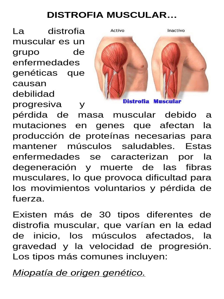 Distrofias Musculares: Tipos y Causas | PDF | Sistema ...
