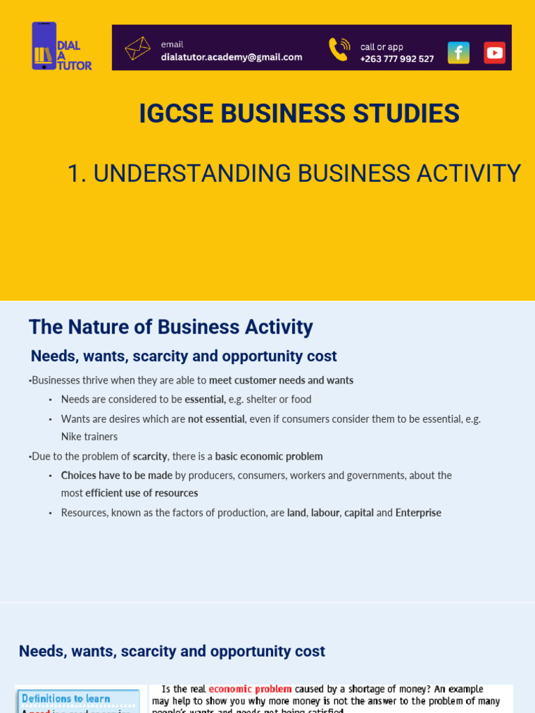 Business Studies - Understanding Business Activity 2025 | PDF ...