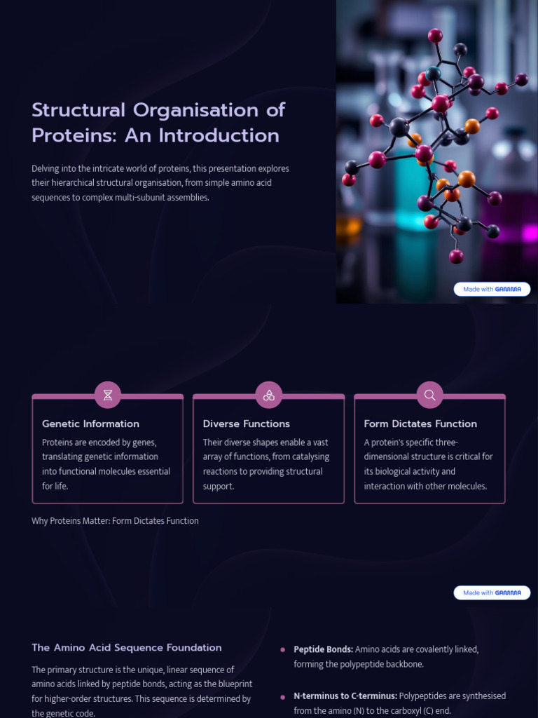 Protein Structure: Hierarchy and Function | PDF | Protein Structure ...