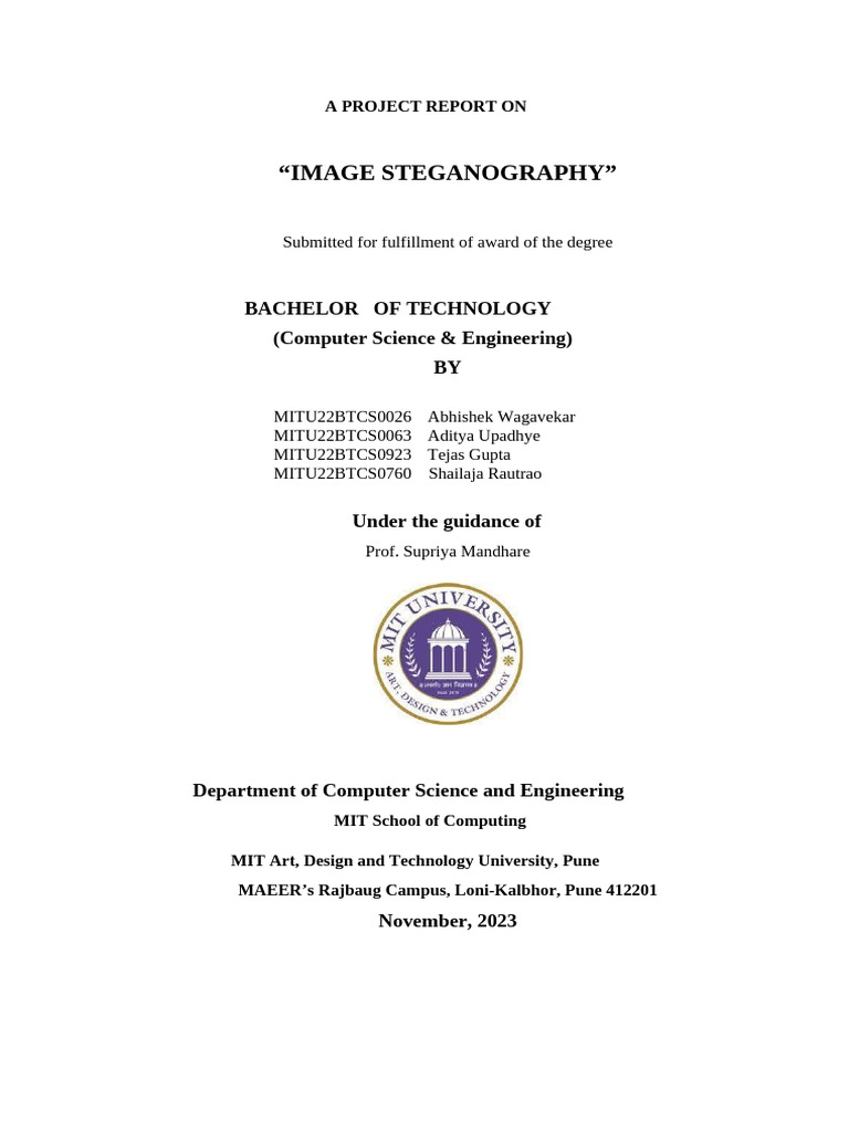 Mini Project Report | PDF | Software Testing | Computer Programming