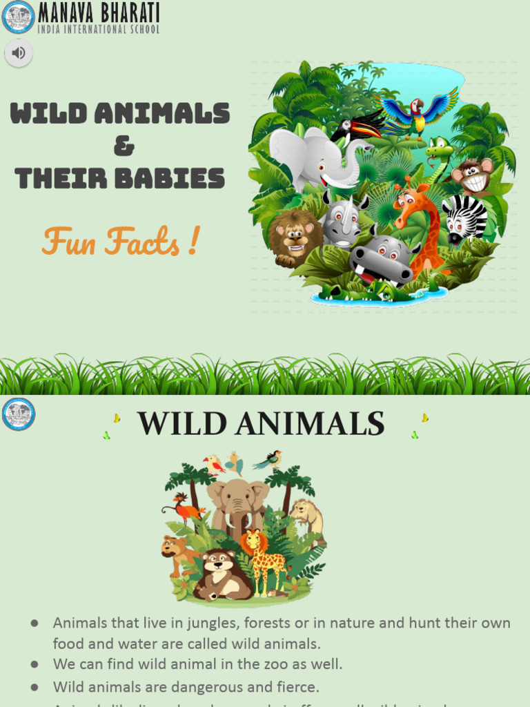 Wild Animals and Their Babies Facts | PDF