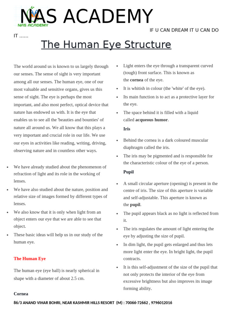 Structure and Functions of the Eye | PDF | Eye | Retina