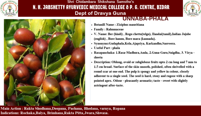 Uses of Bore Hannu in Ayurveda | PDF