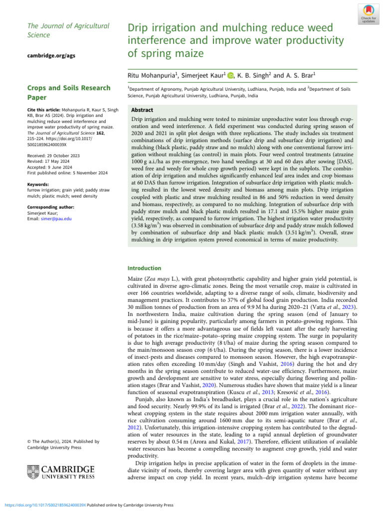 Drip Irrigation Enhances Maize Yield | PDF | Mulch | Irrigation