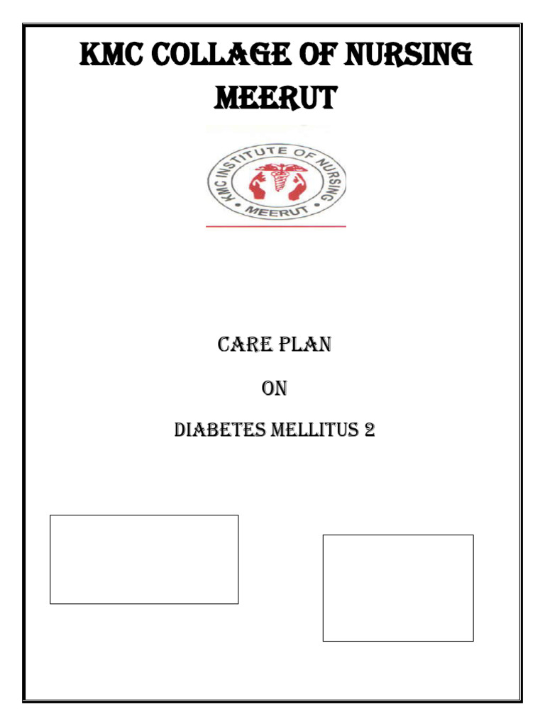 Type 2 Diabetes Care Plan Overview | PDF | Hypoglycemia | Nausea