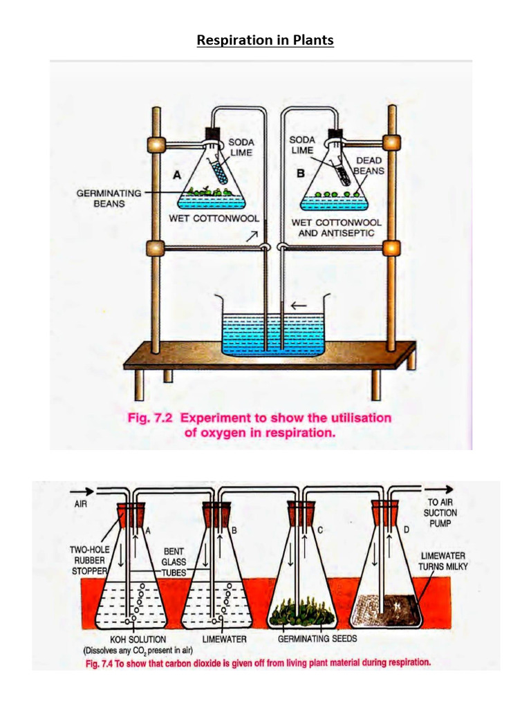 DOC-20250529-WA0010^ | PDF