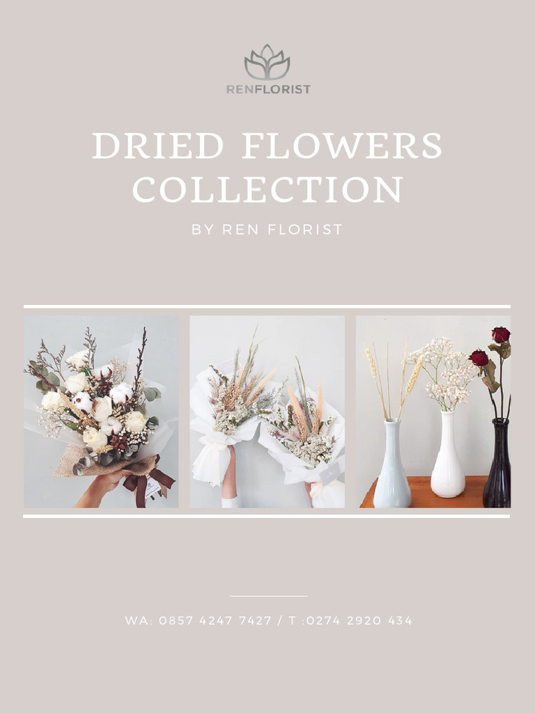 Ren Florist Dried Flowers Collection | PDF | Flowers | Floristry