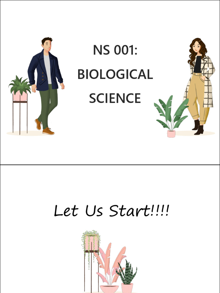l3 Finals Integumentary Digestive Respiratory Nervous ...