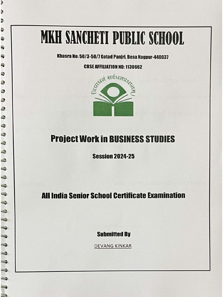 Business Studies Project | PDF