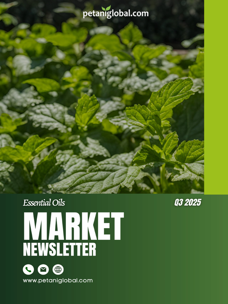 Market Newsletter Q3 2025 | PDF