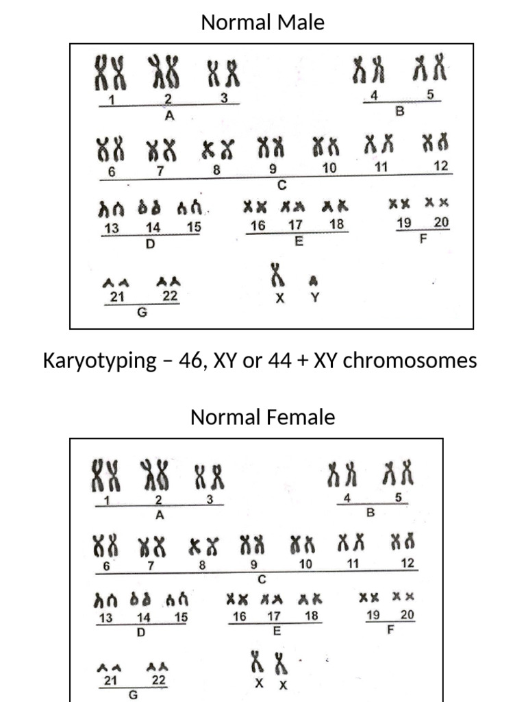 Genetic Charts | PDF