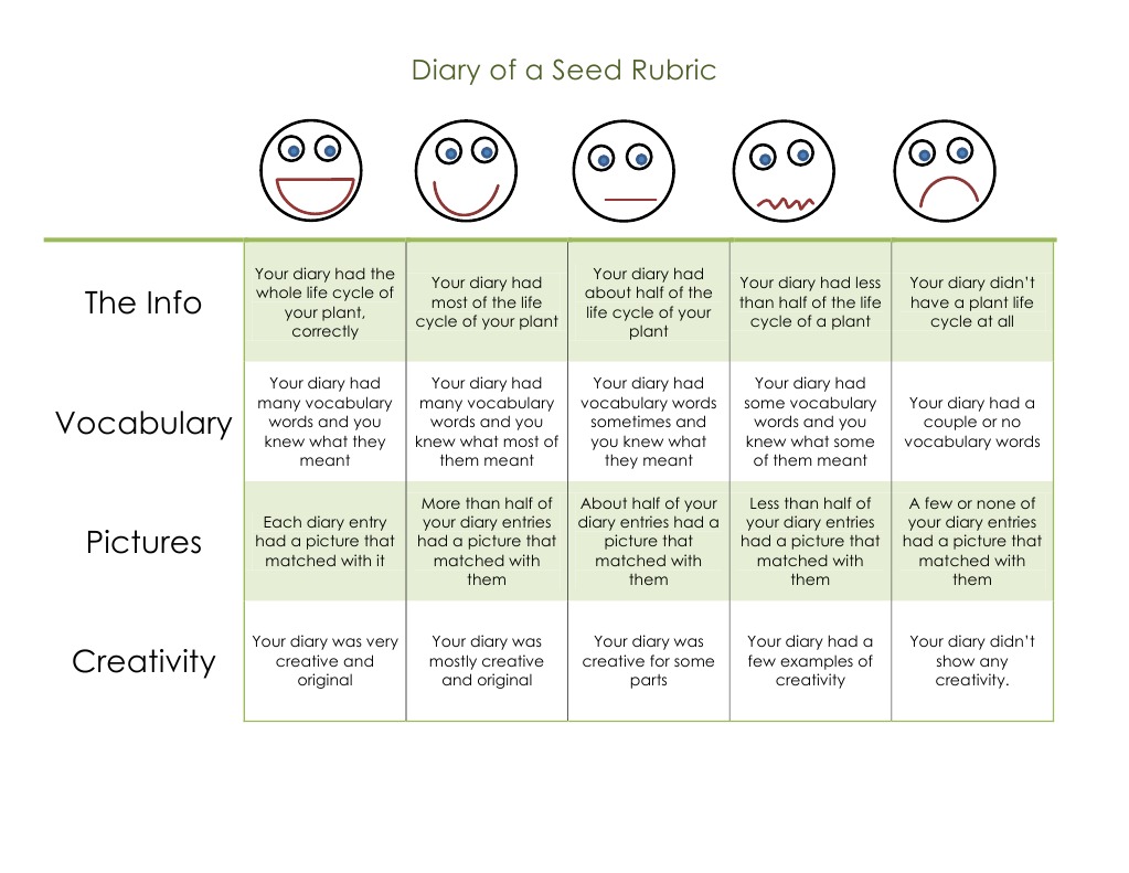 Seed Diary Rubric for Assessment | PDF