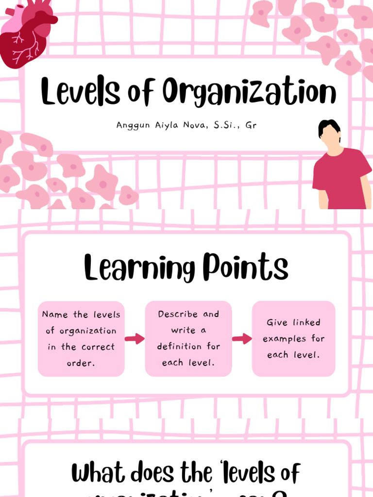 8BP - Levels of Organization Biology Presentation | PDF