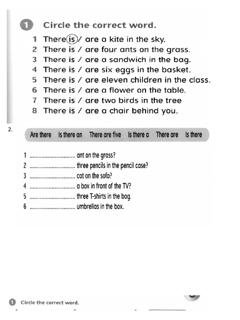 English For Primary School | PDF