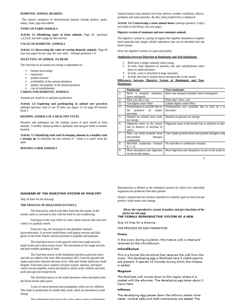 Rearing Domestic Animals Essentials | PDF | Digestion | Ruminant