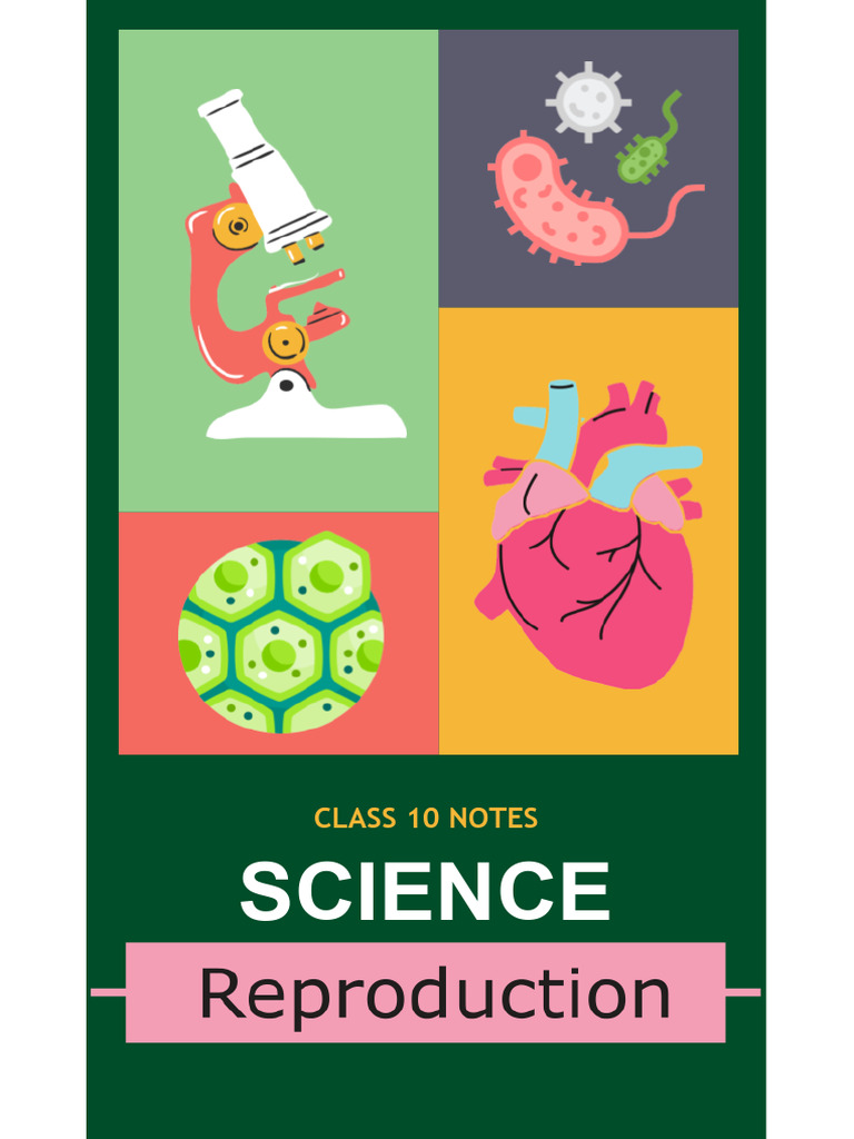 Organism Reproduction Overview | PDF | Uterus | Flowers