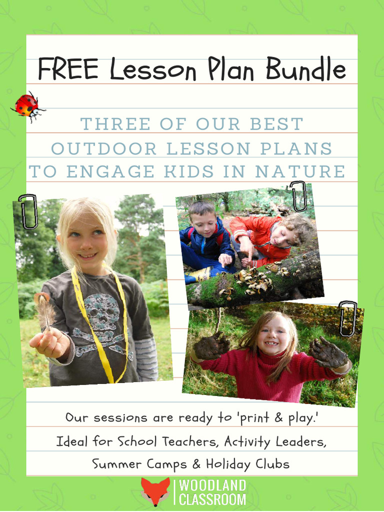 FREE Lesson Plan Bundle | PDF | Predation | Bat