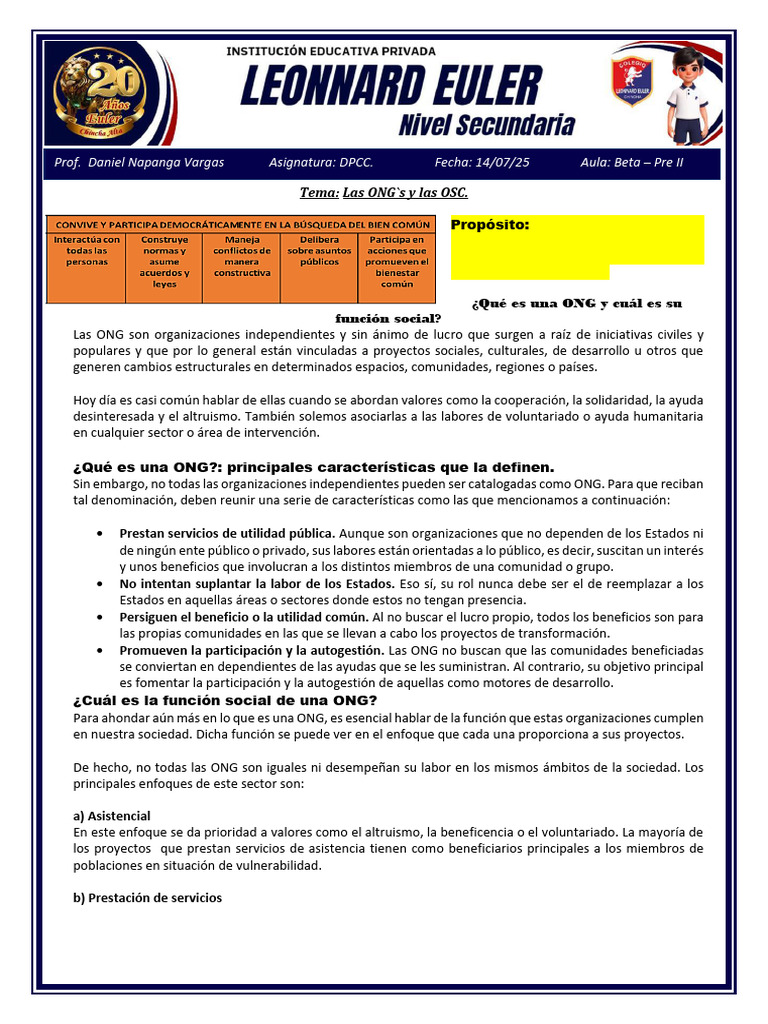 ONG vs OSC: Funciones y Comparativa | PDF | Organización no ...