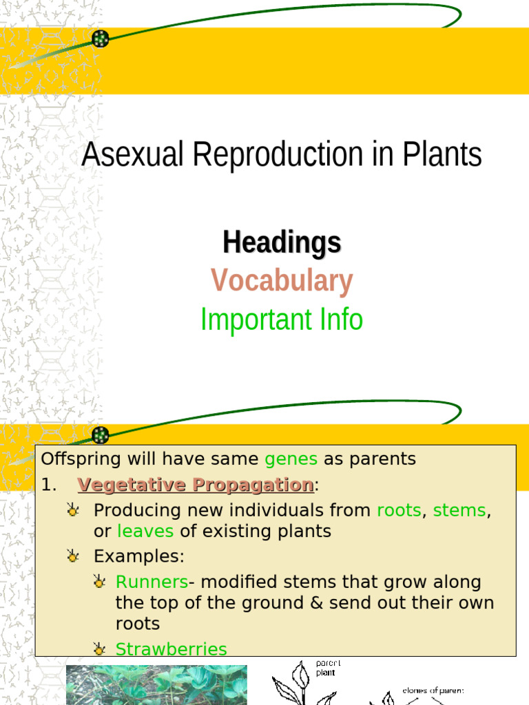 A Sexual Reproduction in Plants | PDF