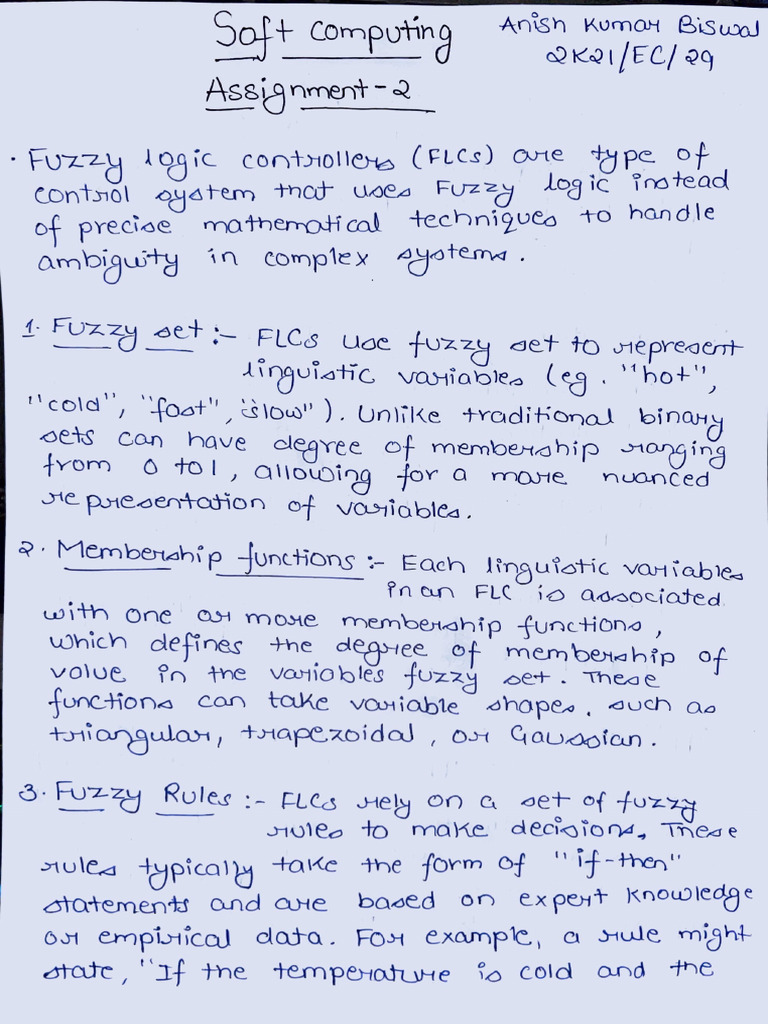 Dtu Soft Comp Assignment 2 | PDF