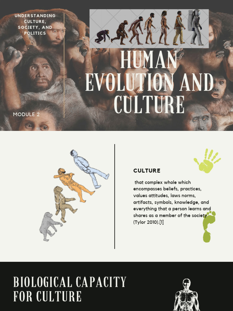 No 4 Human Evolution and Culture | PDF | Bipedalism | Human